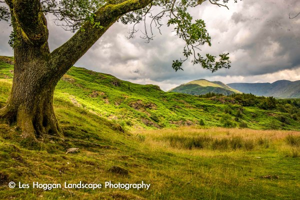 Lake District – Les Hoggan Photography