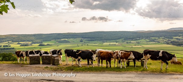 Lake District – Les Hoggan Photography