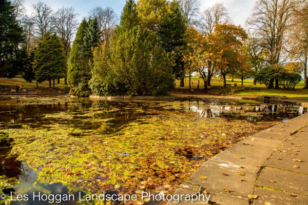 Autumn in Strathaven – Les Hoggan Photography