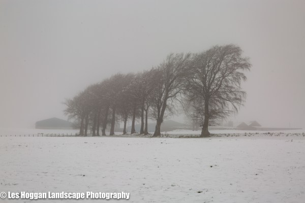 Winter in Strathaven – Les Hoggan Photography